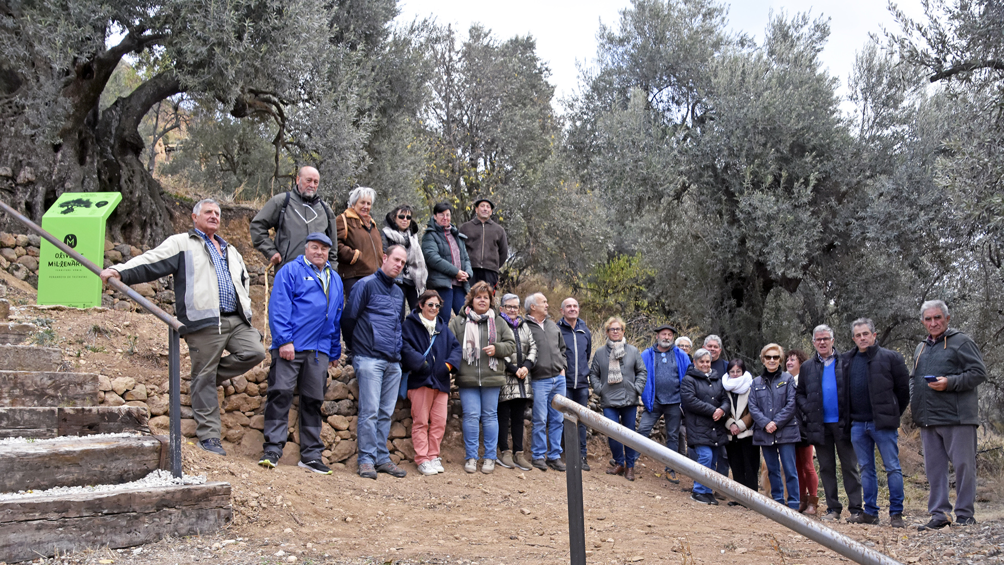 Pena-roja inaugure el seu espai d'oliveres mil·lenàries a través d'un ...